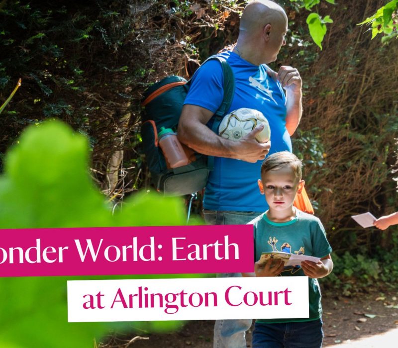 What's On Barnstaple - Find Local events in Barnstaple